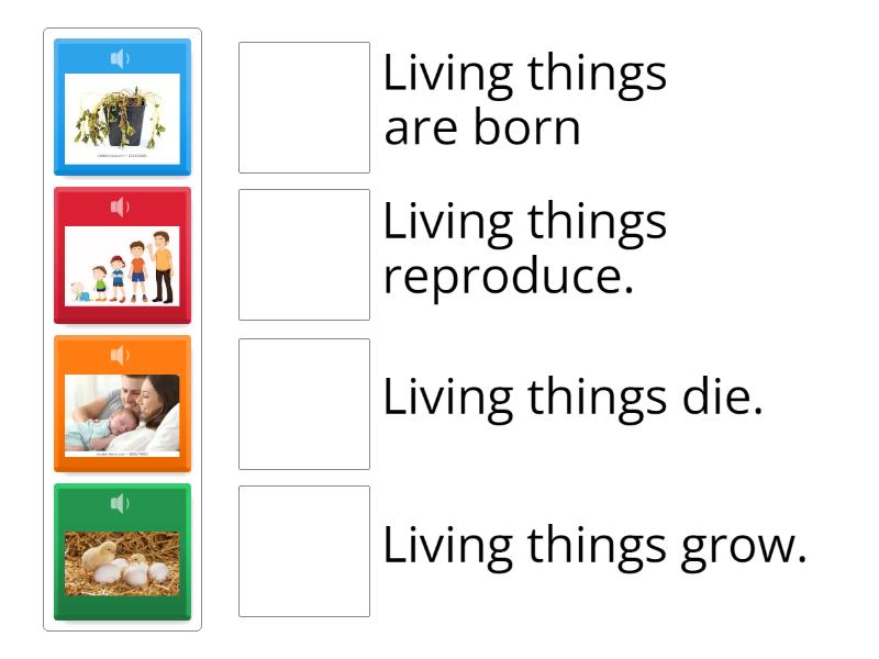Characteristics of living things - Match up