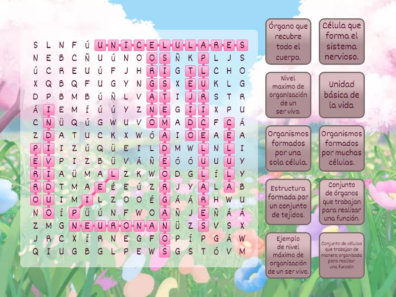 Niveles de organización de los seres vivos - Sopa de letras