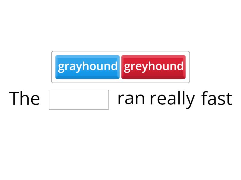 Dogs - Complete the sentence