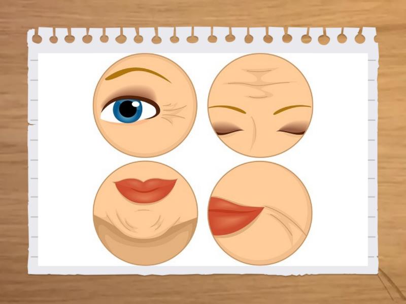 Parts of the Face - Flash cards