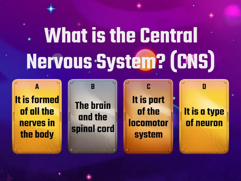 Nervous system (CNS and PNS) - Quiz