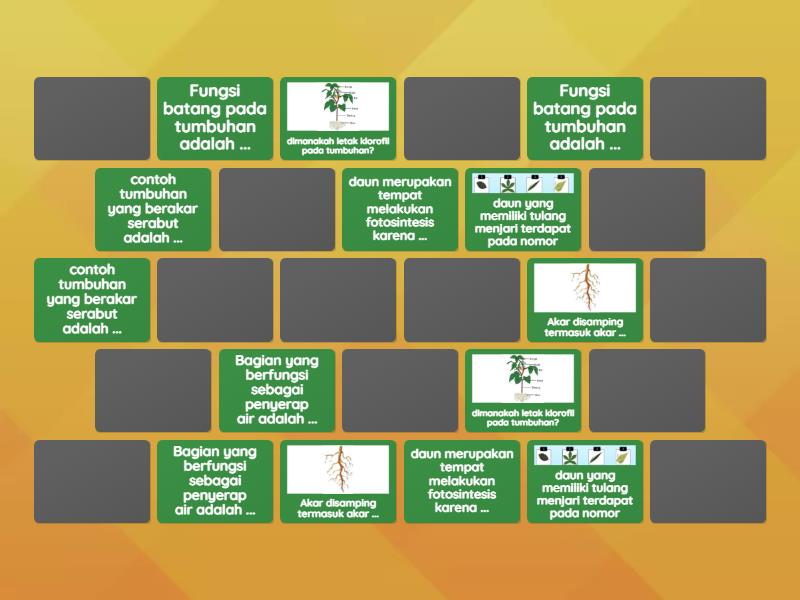 IPAS P1 - Matching pairs