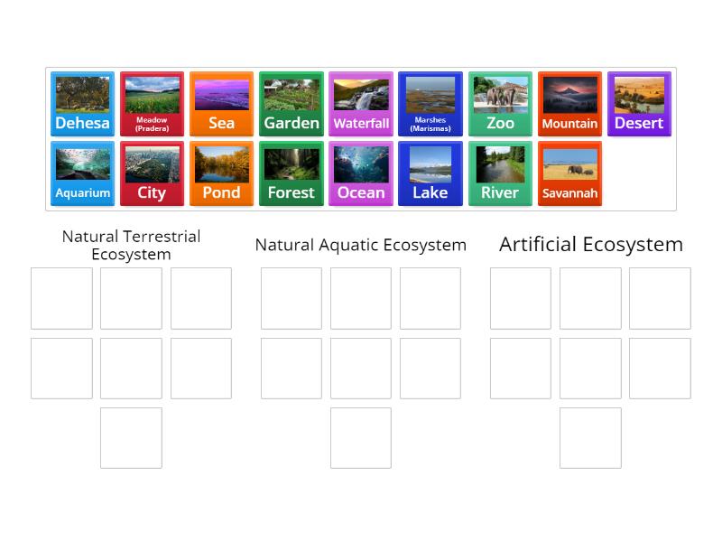 Terrestrial and Aquatic Ecosystem Groups - Group sort