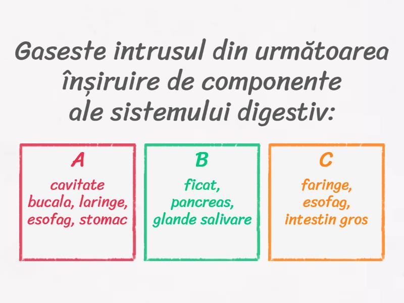 Corpul uman - Chestionar