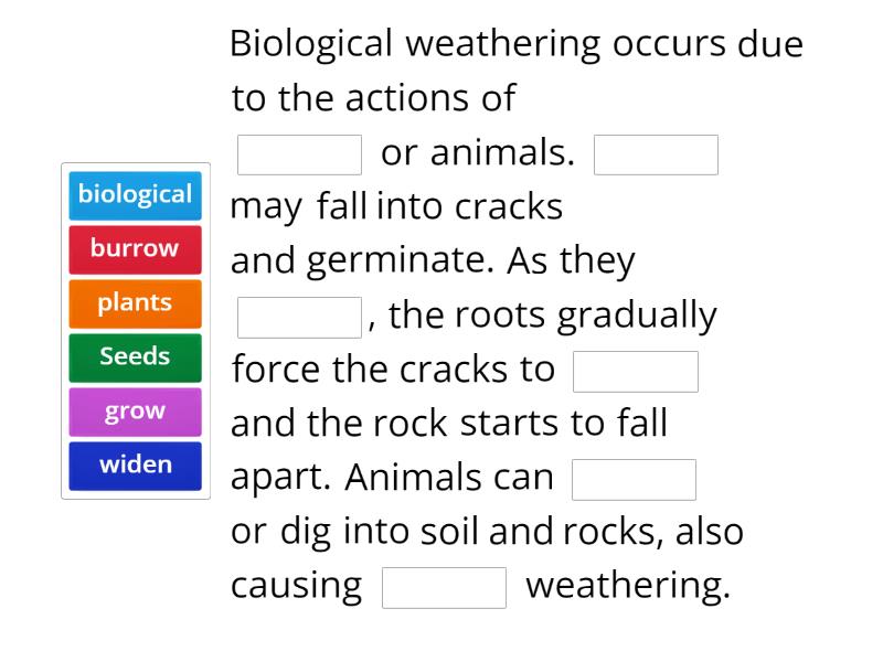 Biological weathering - Complete the sentence