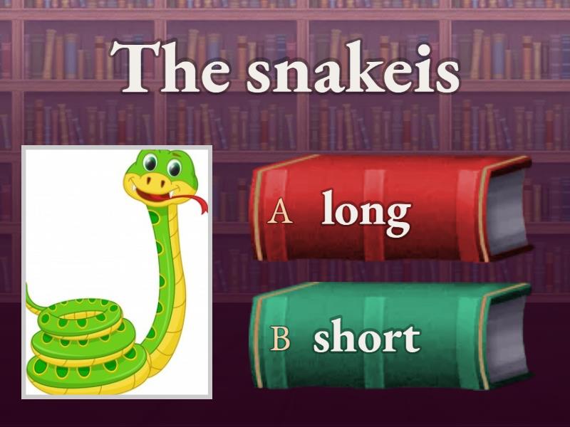 small/big/long/short - Quiz