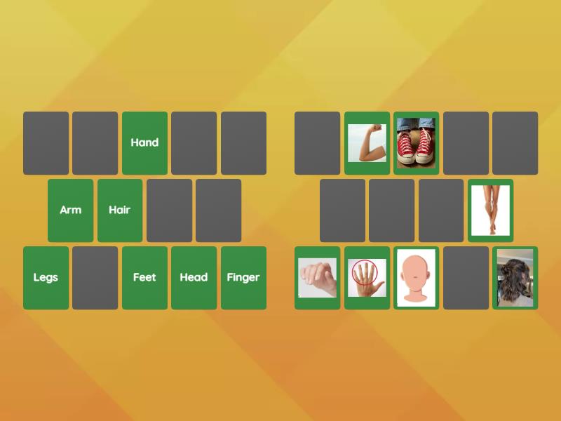body parts - Matching pairs