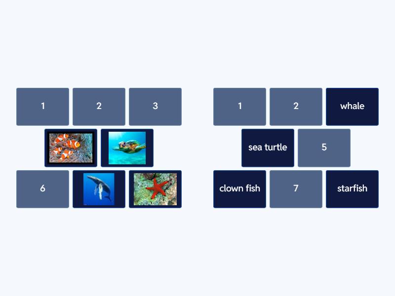 SEA ANIMALS MEMORY GAME - Matching pairs