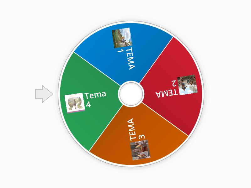 Temas - Random wheel
