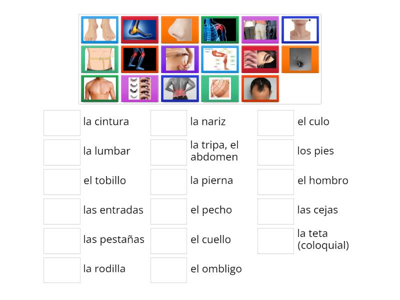 partes del cuerpo A2-B1 - Match up