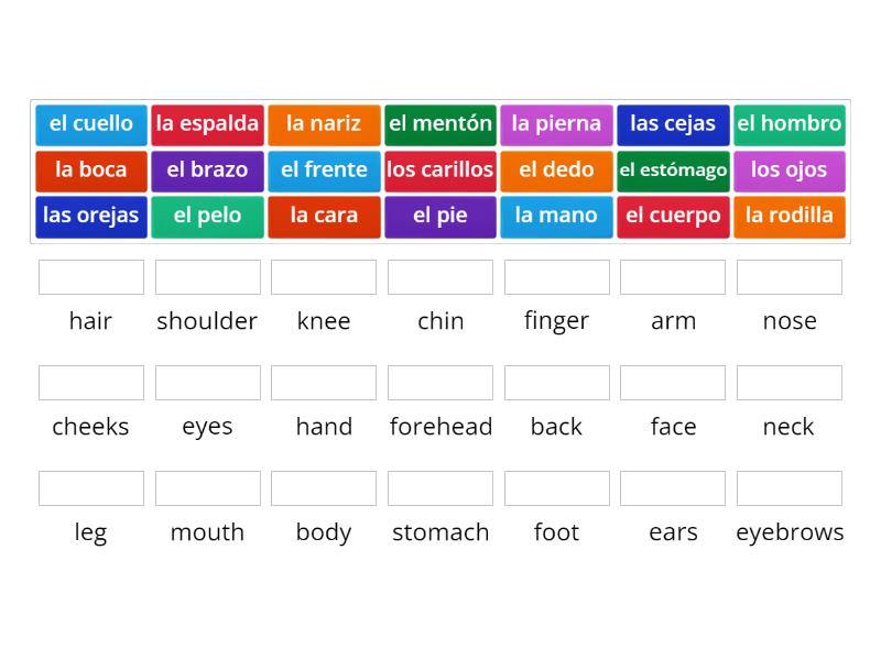 El cuerpo (the body) - Match up