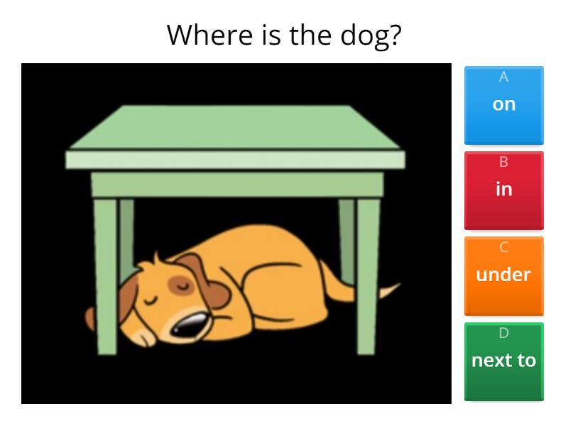 objects Prepositions - Quiz