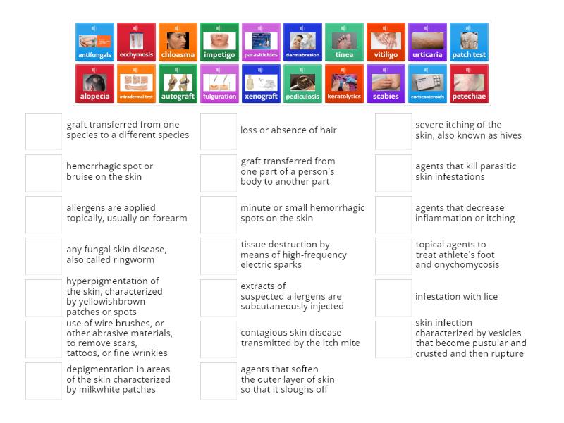 Matching diagnostic, symptomatic, procedure, and pharmacology terms ...