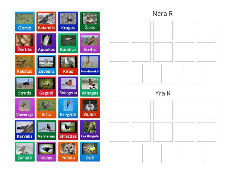 L ar R? - Group sort