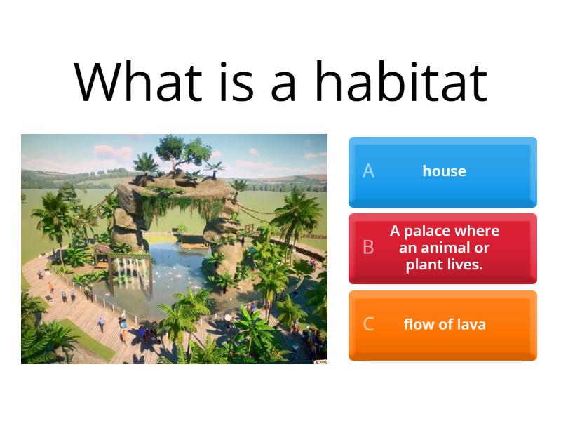 Plants adaptation - Quiz