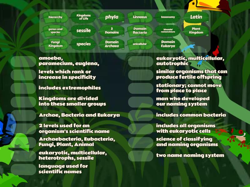 Classification Basics - Match up