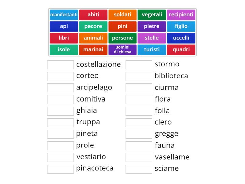 Nomi collettivi e individuali - Match up