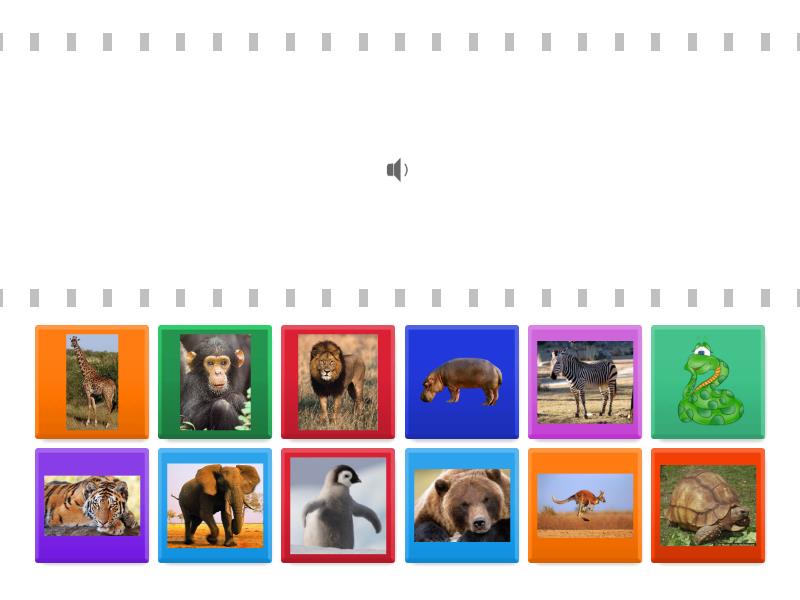 Wild Animals ( Shine on , unit 6, lesson 4) - Find the match