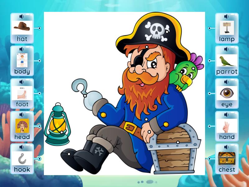 pirates body parts - Labelled diagram