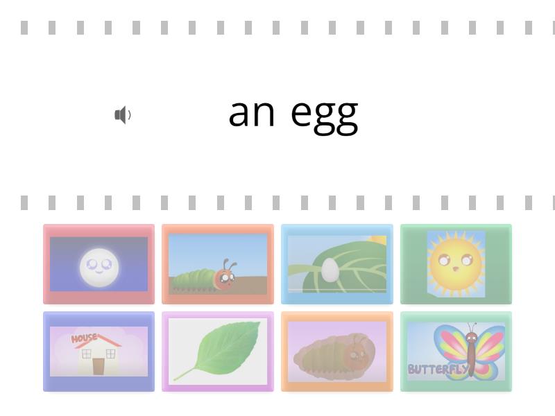 The very hungry caterpillar - Find the match