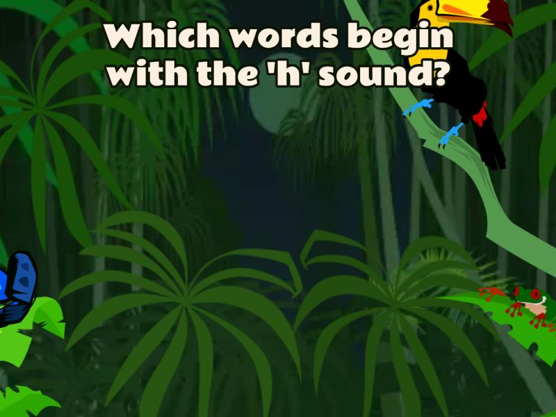 Newcomer Units 1&2: SMTHFA - Flying fruit