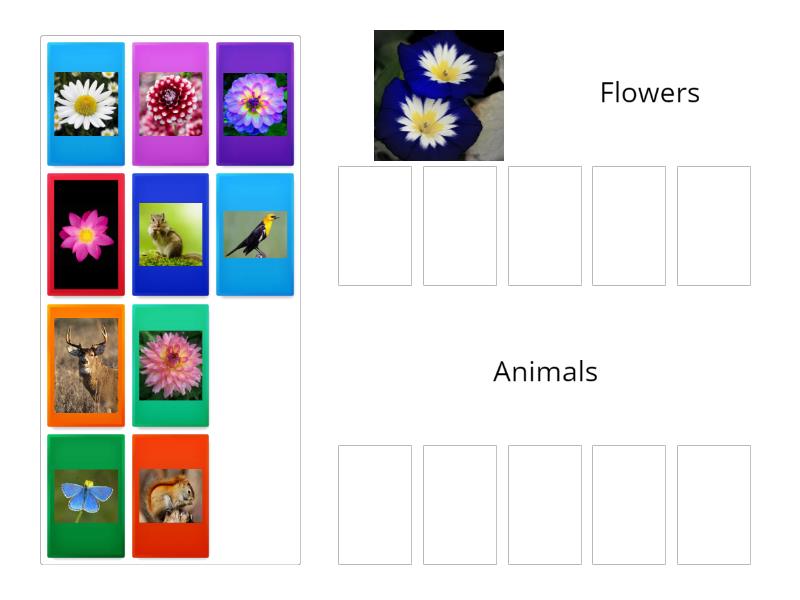 Spring sorting game - Group sort