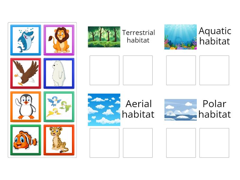 Animals and their habitat - Group sort