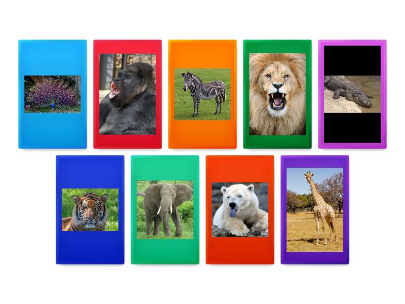 zoo animals - Flip tiles