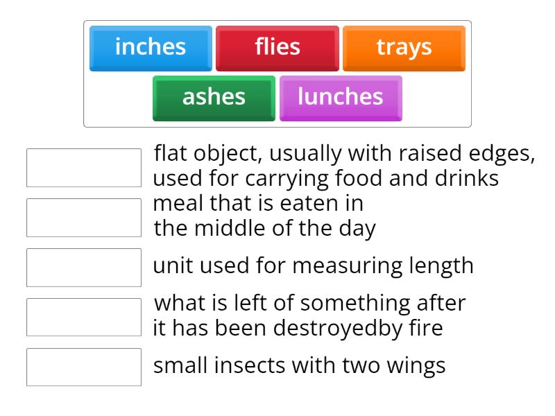 Plural words - Match up