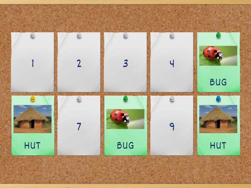 Match the pairs - Matching pairs