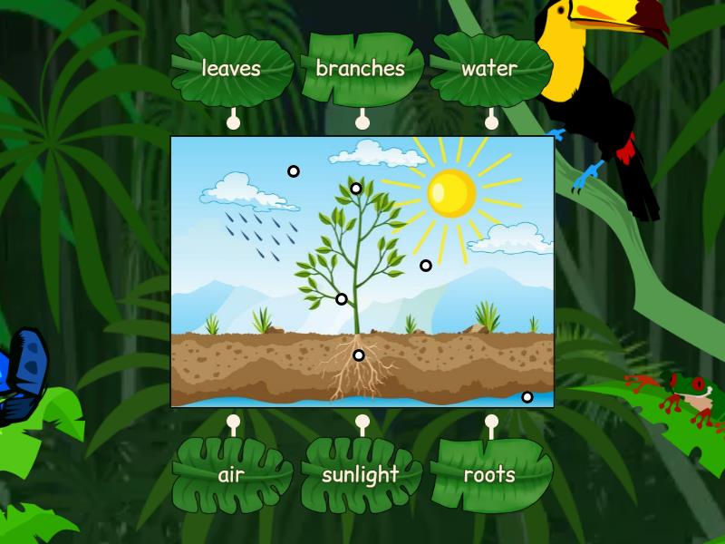 Tree Labelling - Labelled diagram