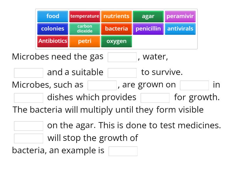 B3.2 Growing Microbes - Complete the sentence