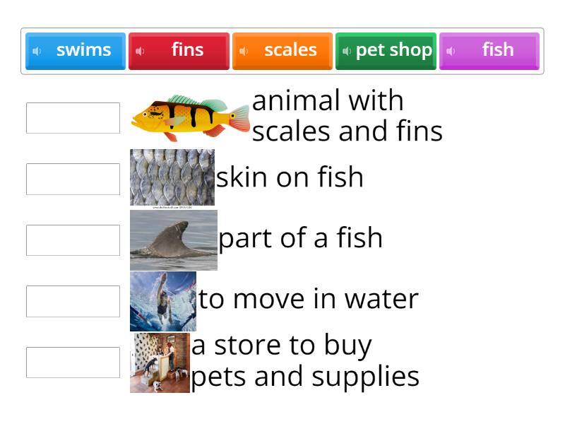 Fish Paragraph Vocabulary - Associação