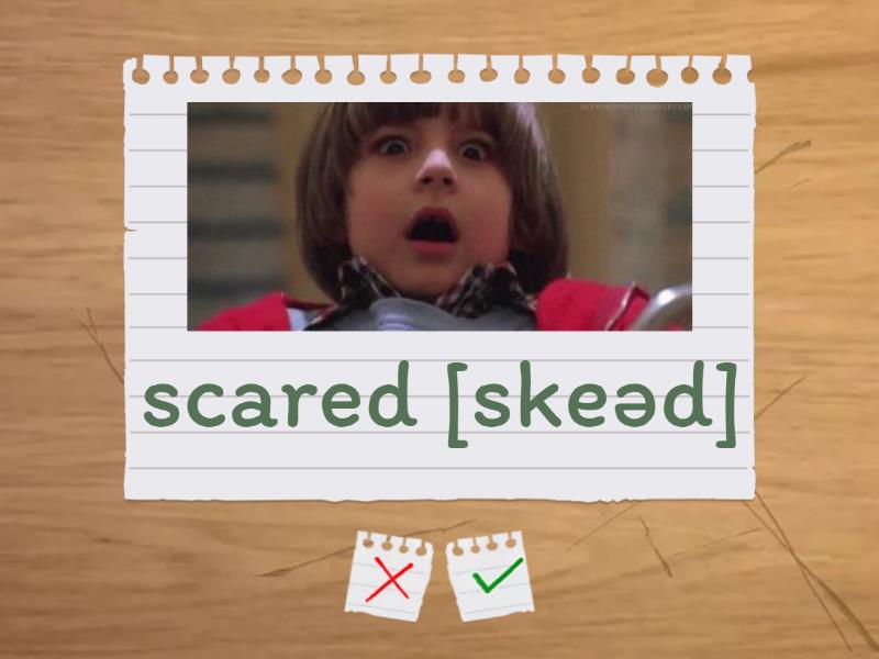 Lesson 5-6 - Flash cards