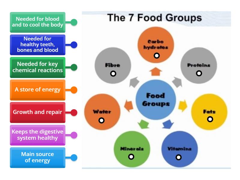Food Groups And Their Uses - Diagrama con etiquetas