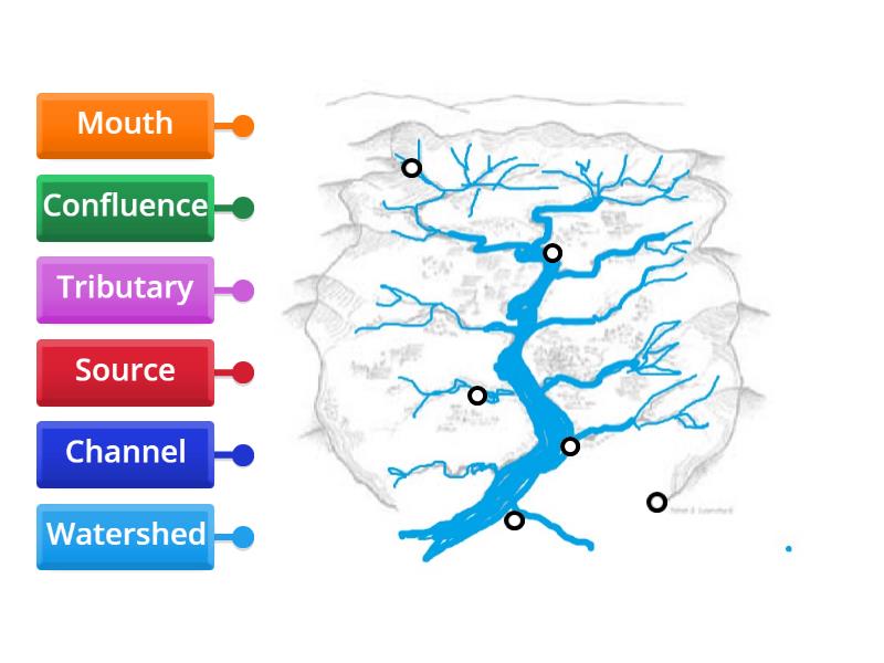 Features of a Drainage Basin - Labelled diagram