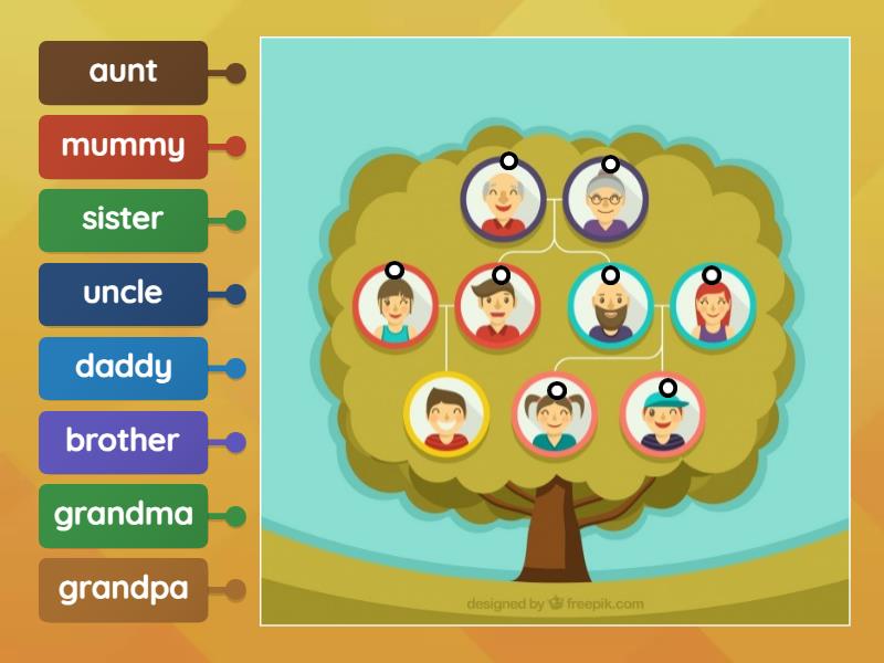 st Family Tree - Labelled diagram