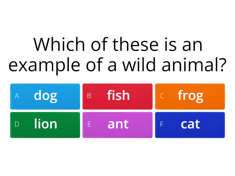 Basic Science - Quiz