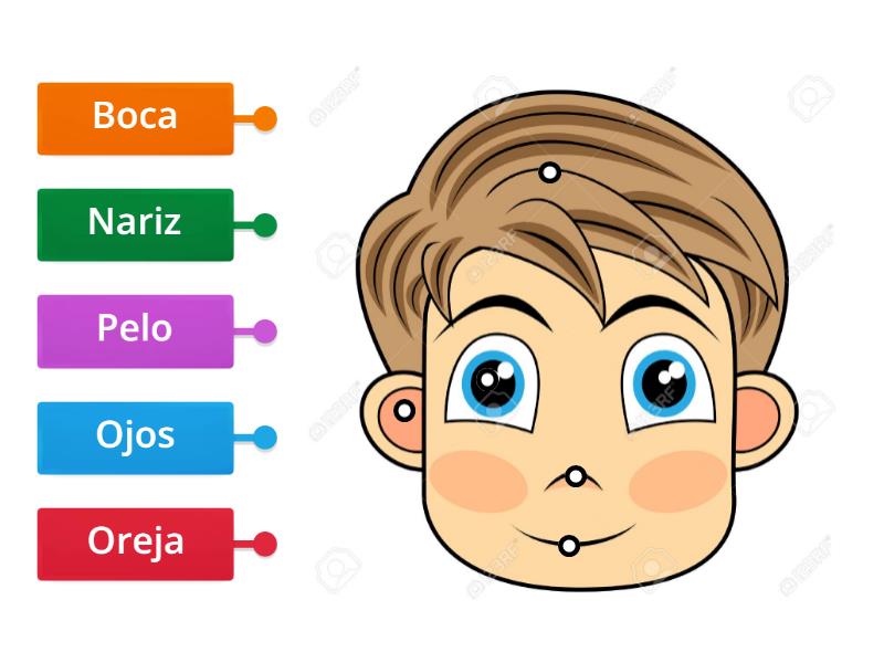 Las partes de la cara - Labelled diagram
