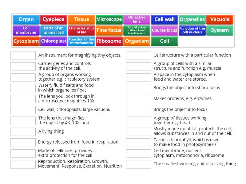 The Cell and Light Microscope. - Match up