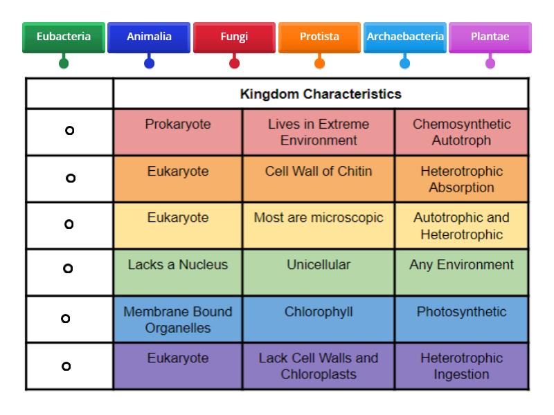 Kingdom Characteristics - Labelled diagram