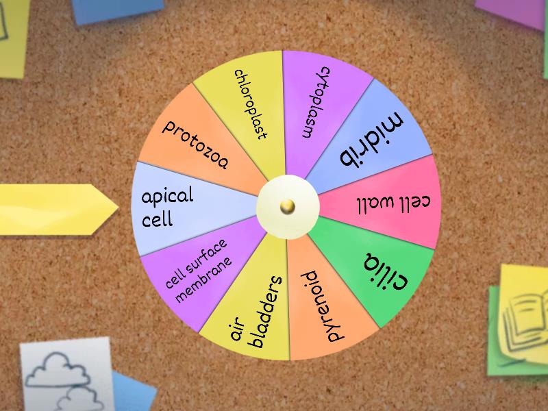 biology - Random wheel