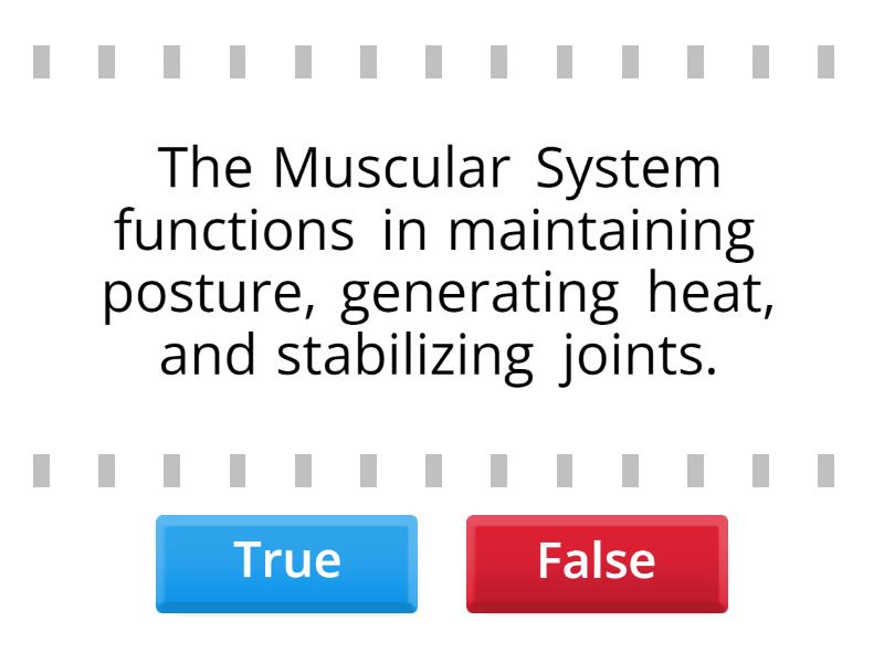 Unit 6 Muscular System True/False - True or false