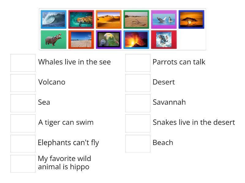 Unit 4 - Habitat and animals - Match up