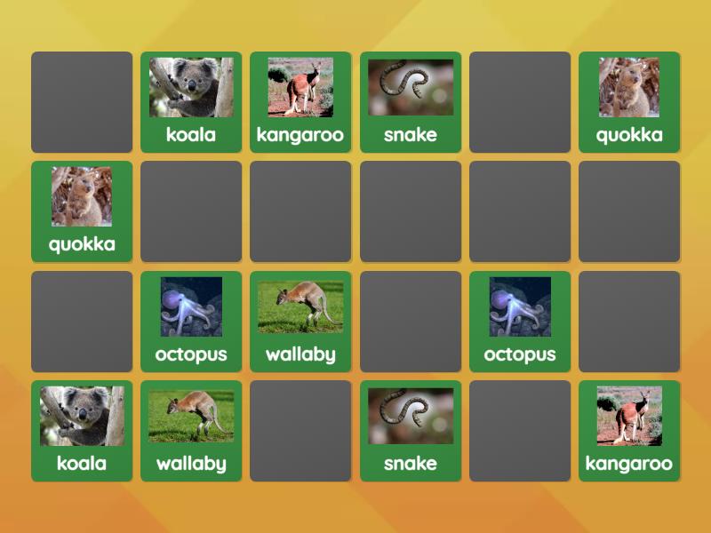 Australian Animals - Matching pairs