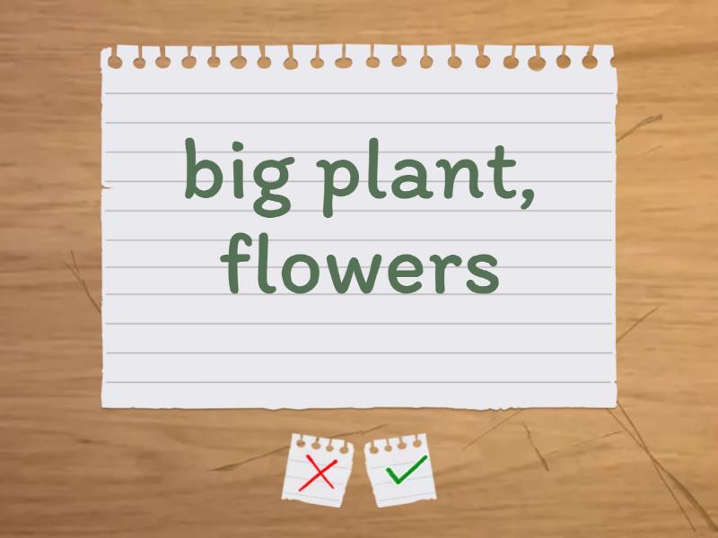 AS2, wb, p. 85 (peas) - Flash cards