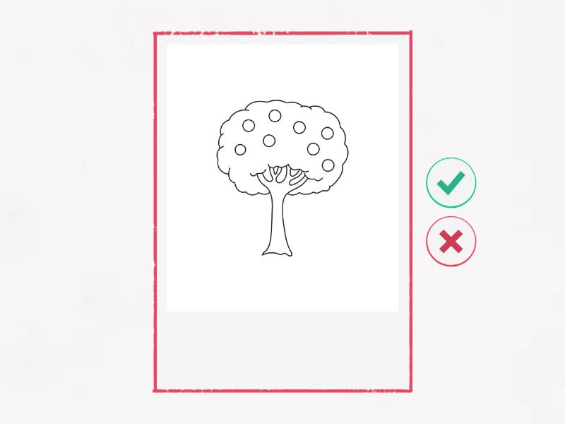 Draw on the back - Flash cards