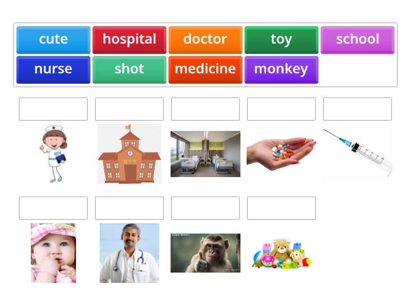 beginner A1 chap2 - Match up