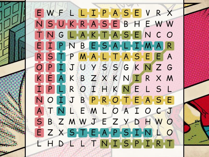 Bagian 2_Enzim Pencernaan Manusia - Wordsearch