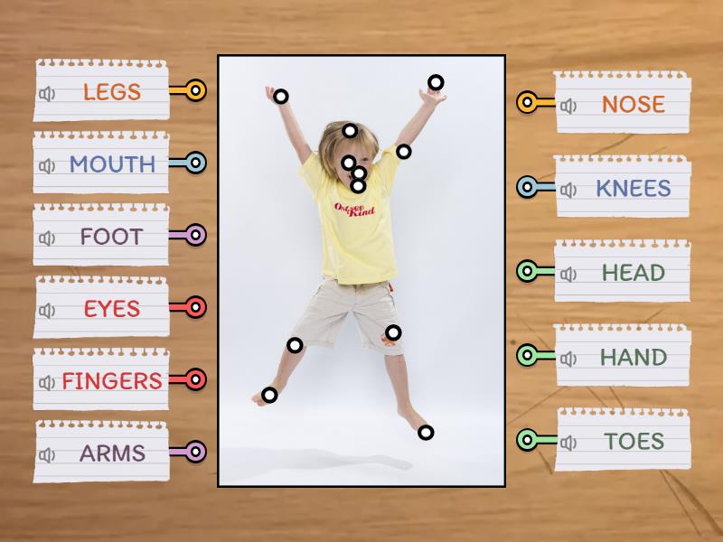 PARTS OF THE BODY - LABEL - Labelled diagram
